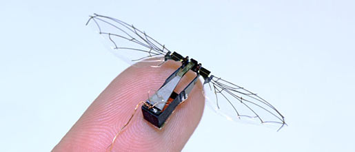 Harvard's Robobee, a tiny flying insect robot, has learned to swim ...