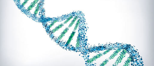 Researchers can now encode 215 petabytes in a single gram of DNA ...