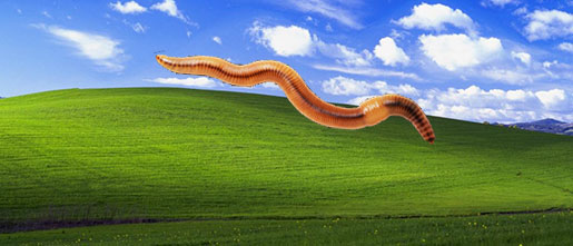 Microsoft releases worm fix for older versions of Windows - Software ...